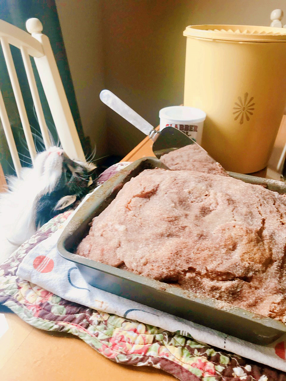 Enjoy a UNT Tradition on National Coffee Cake Day | UNT Sycamore Stacks ... Enjoy a UNT Tradition on National Coffee Cake Day | UNT Sycamore Stacks ...